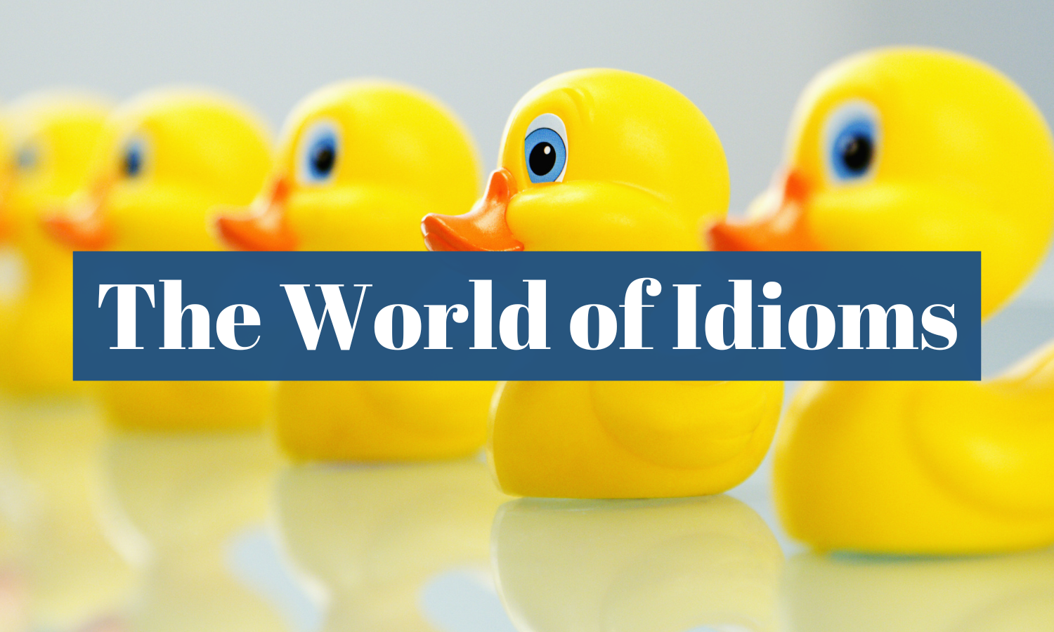 The World of Idioms – My English Place